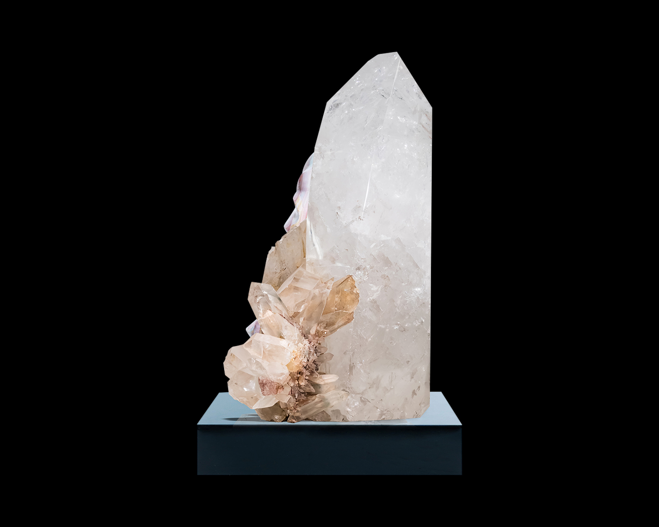 Artworks - Stefano Piccini - Bespoke Nature